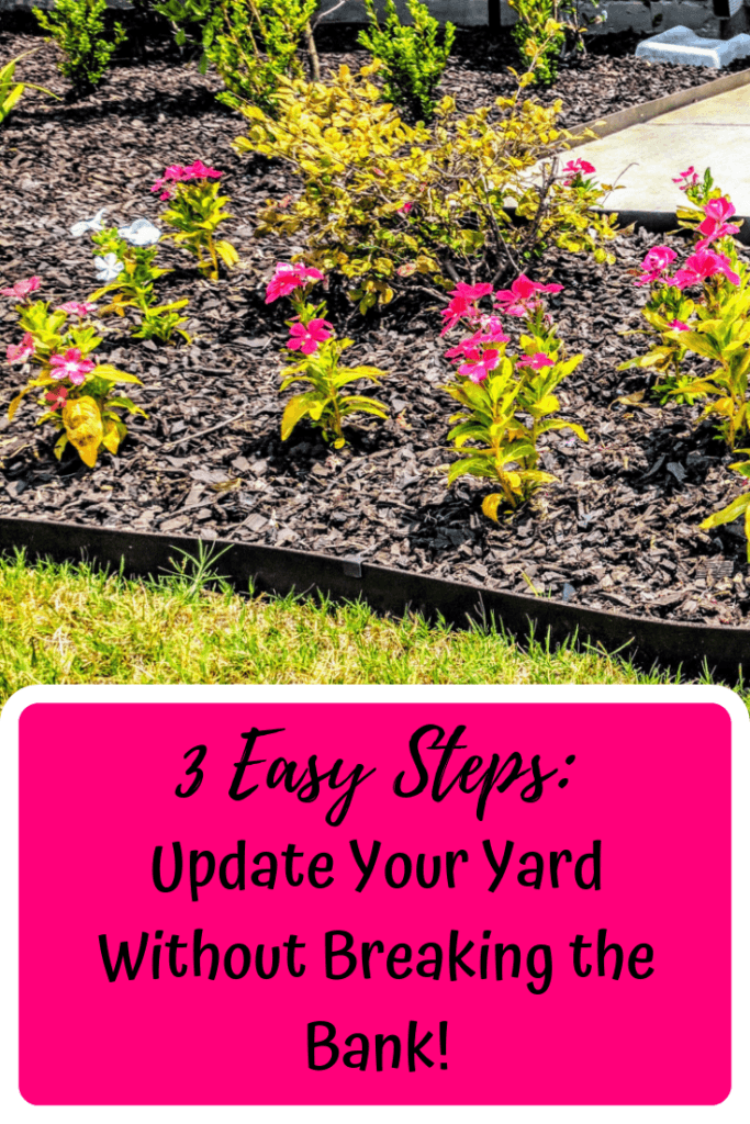 How to Redo Your Yard Without Breaking The Bank - Inexpensive DIY